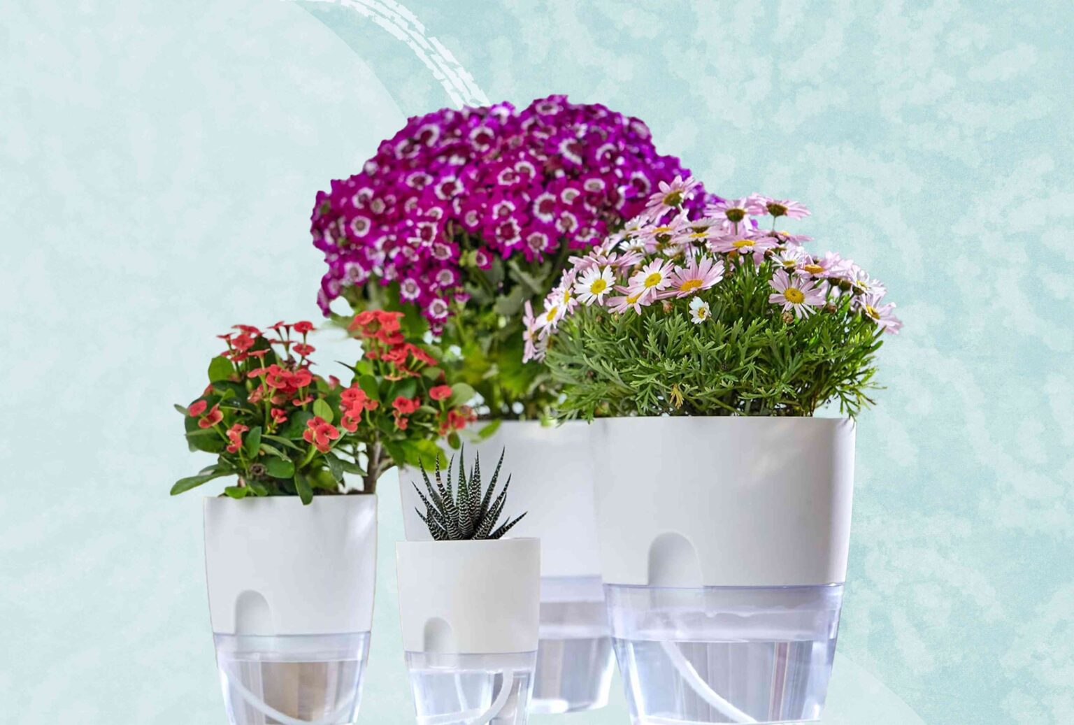 The Ultimate Guide to Self Watering Planters – KOFI